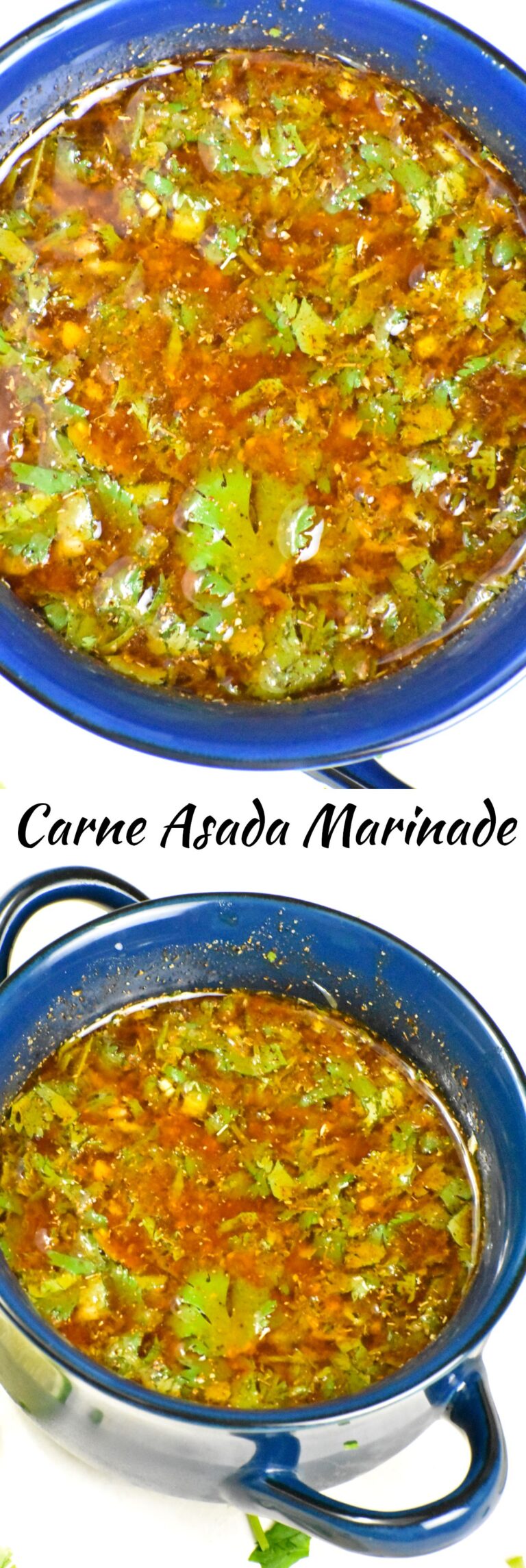Carne Asada Marinade - GypsyPlate