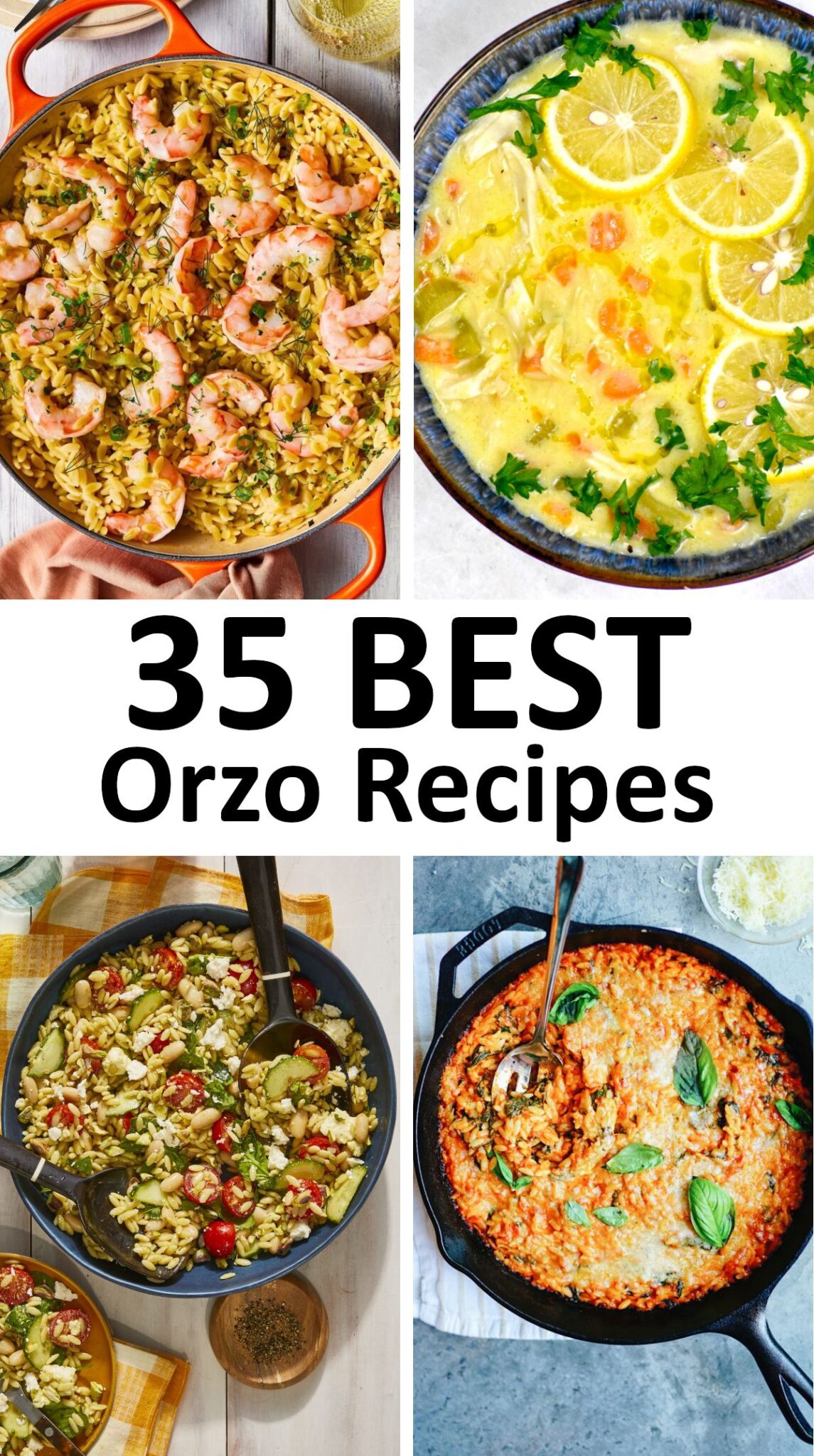 The 35 BEST Orzo Recipes - GypsyPlate