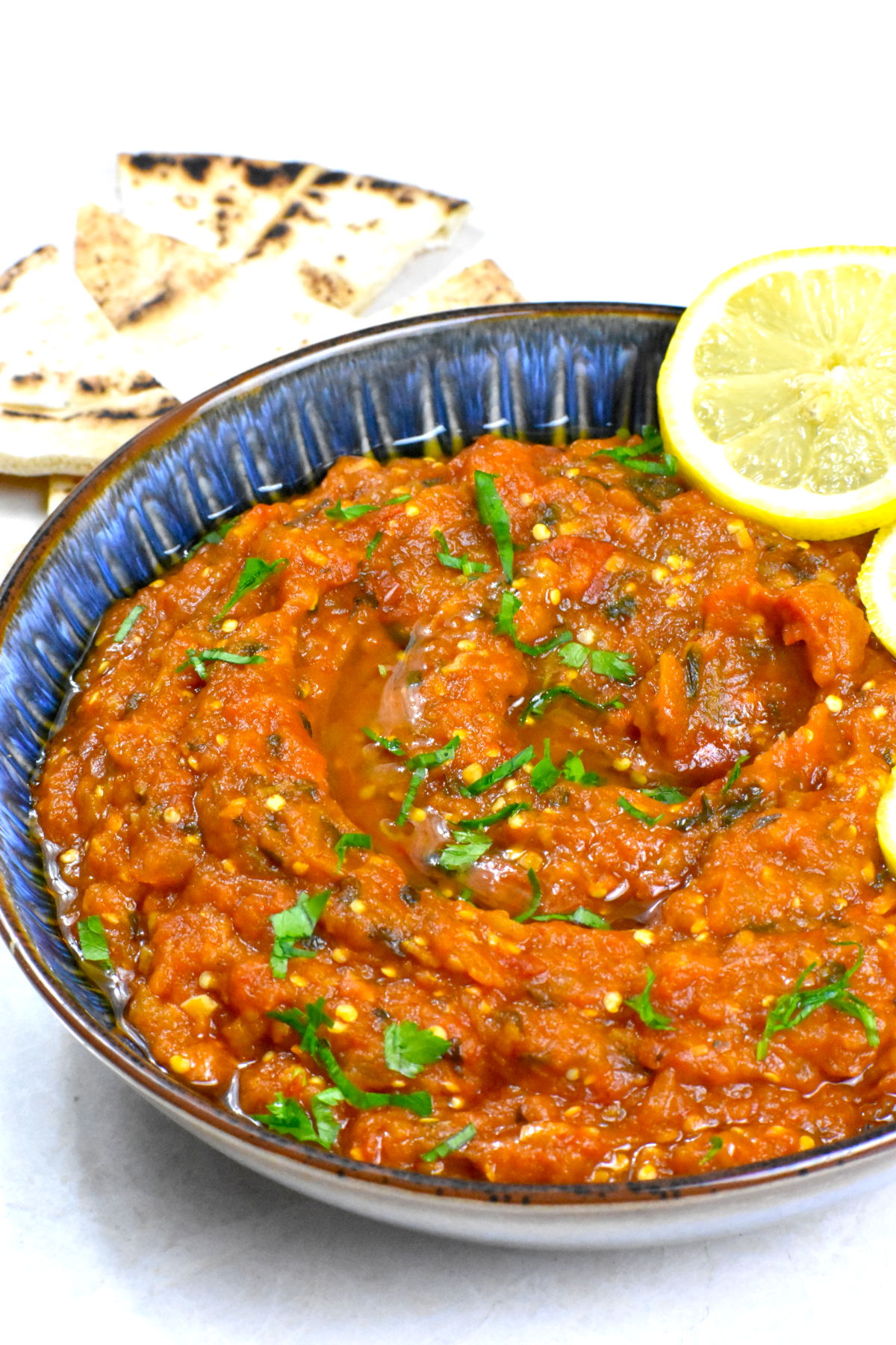 Zaalouk (Moroccan Eggplant Dip) - GypsyPlate