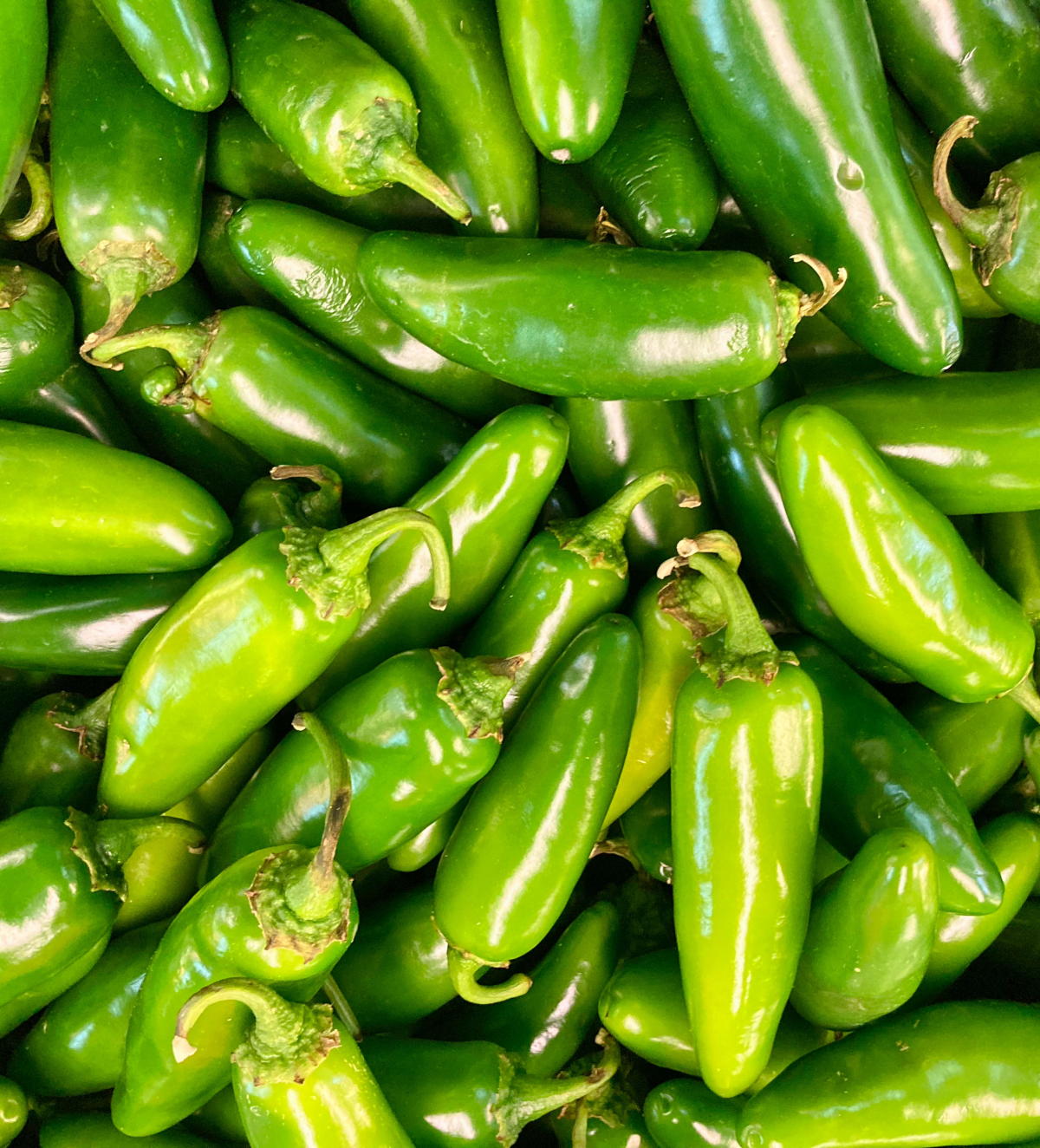 The 30 BEST Nacho Toppings - GypsyPlate