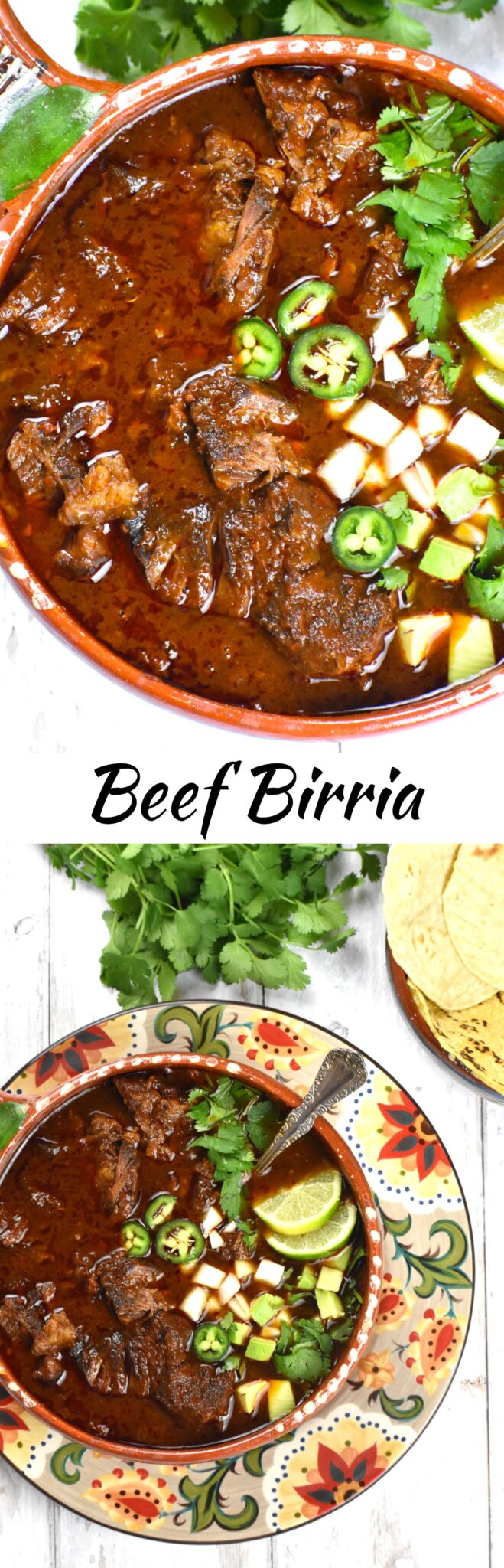 Birria (Mexican Beef Stew) - GypsyPlate