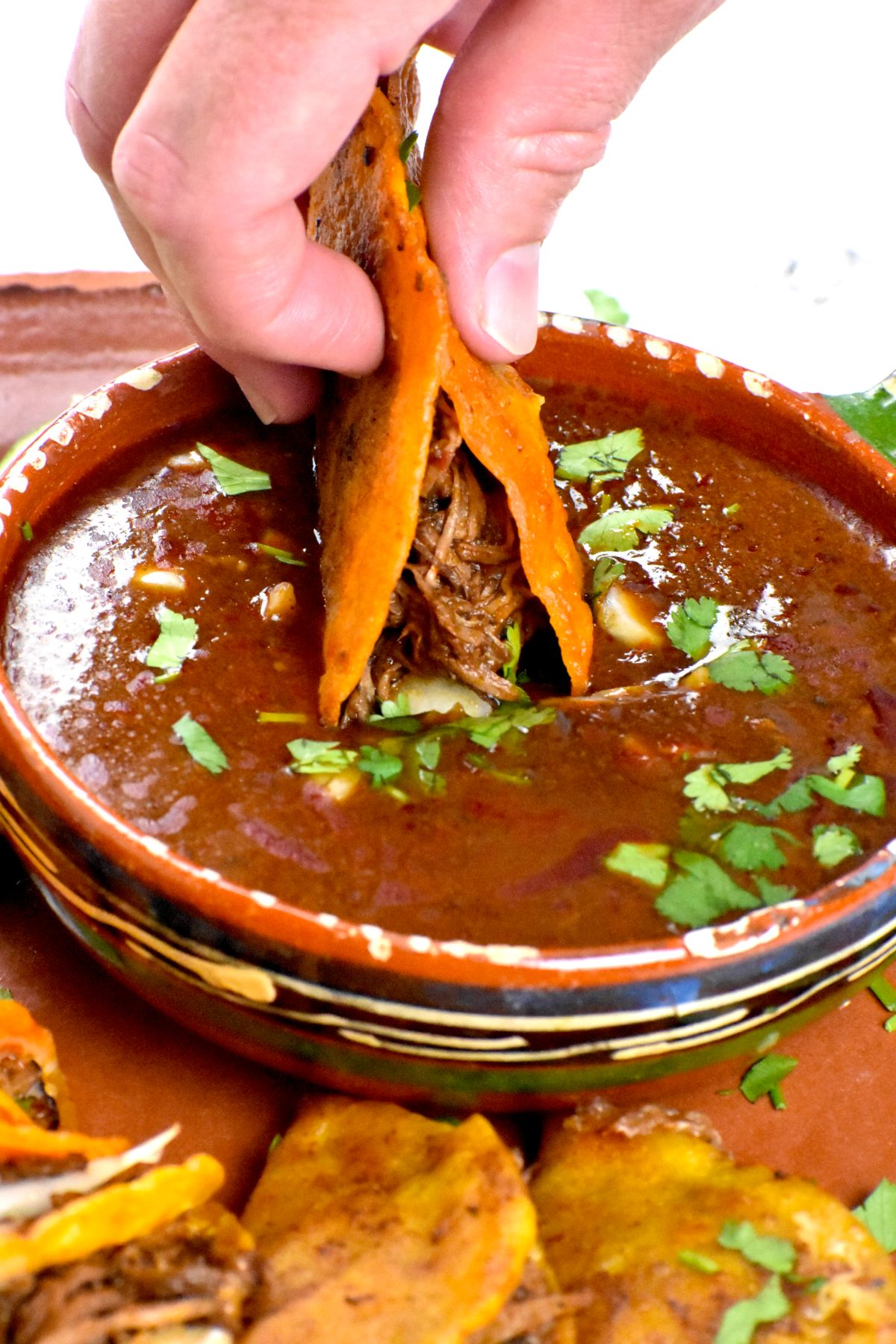 Birria Tacos (Quesabirria)