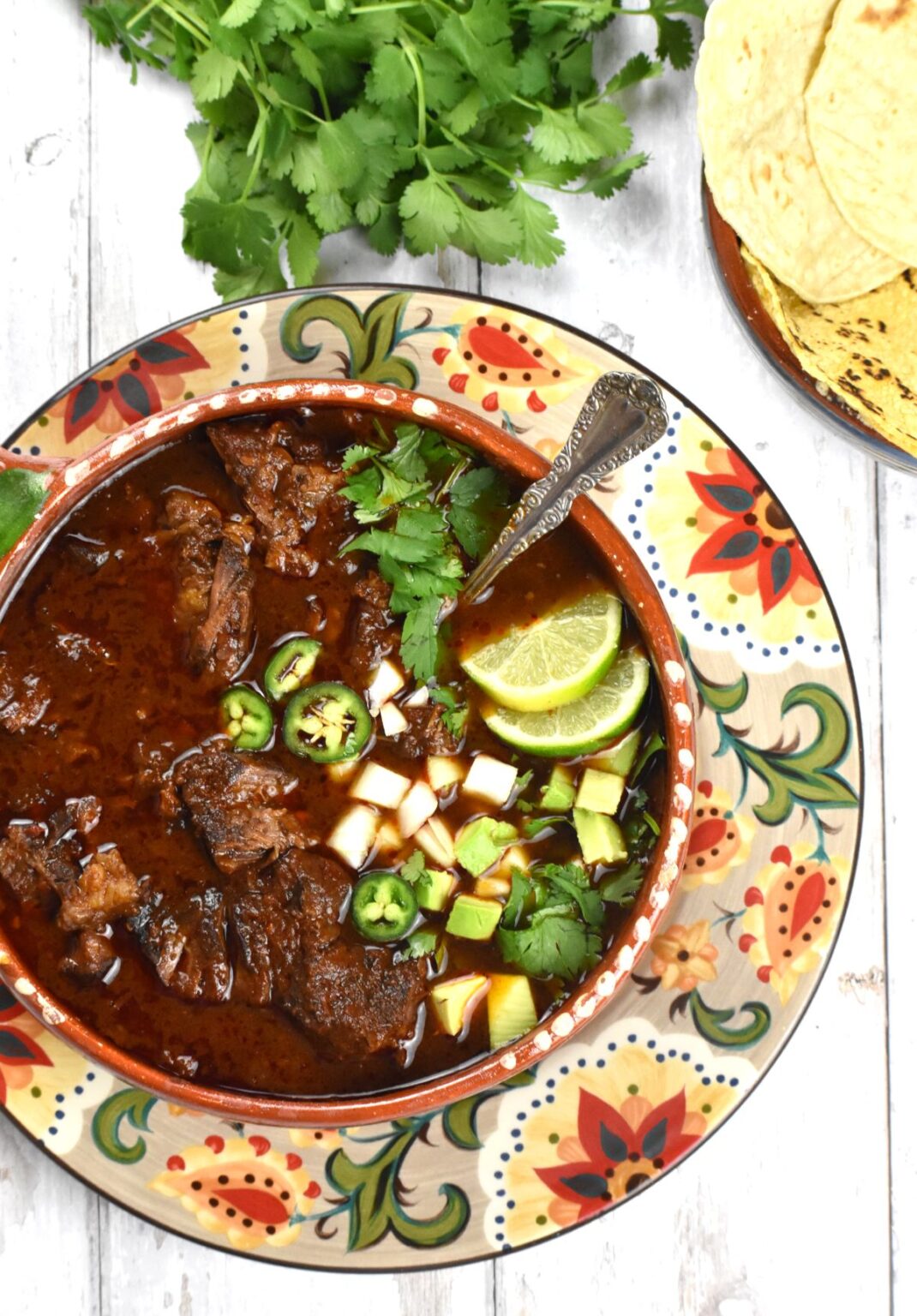 Birria (Mexican Beef Stew) - GypsyPlate
