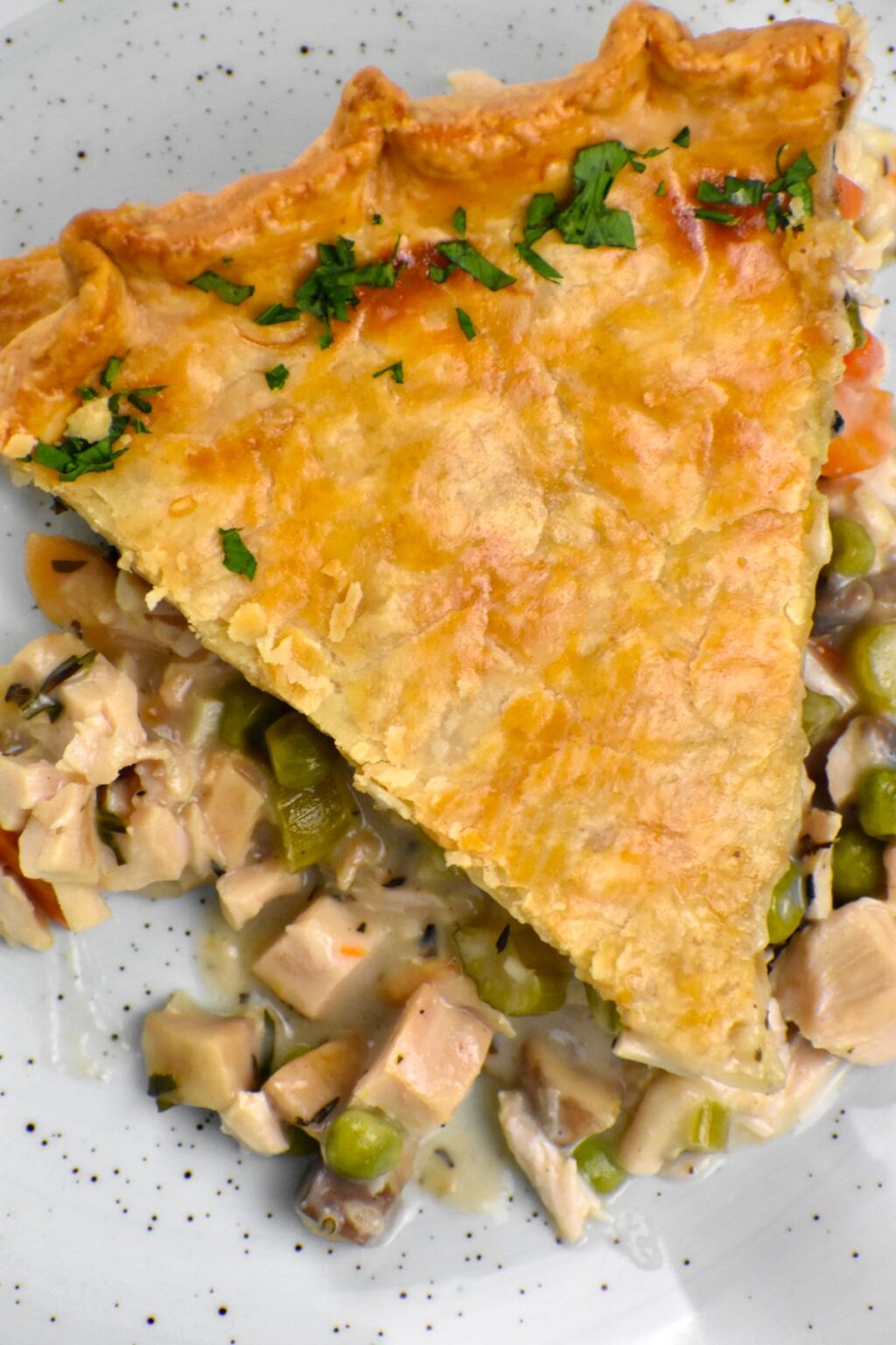 Turkey Pot Pie - GypsyPlate
