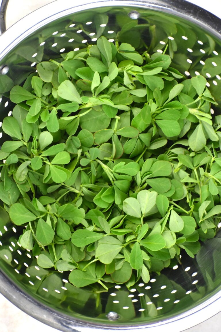 Methi Chicken (Murgh Methi Curry)