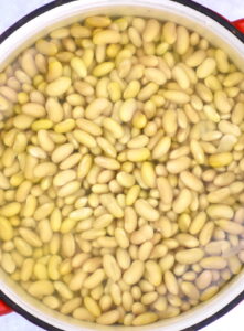 Peruvian Beans (Mayocoba Beans Recipe)