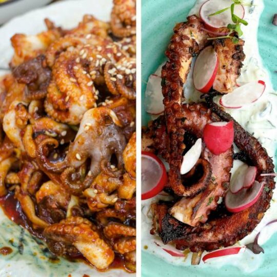 The 10 BEST Octopus Recipes - GypsyPlate