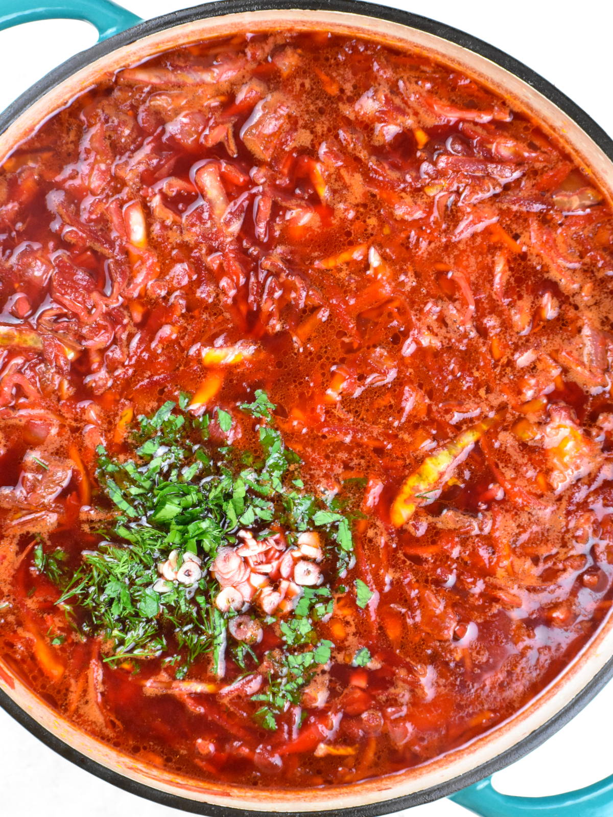 Classic Borscht Recipe - GypsyPlate