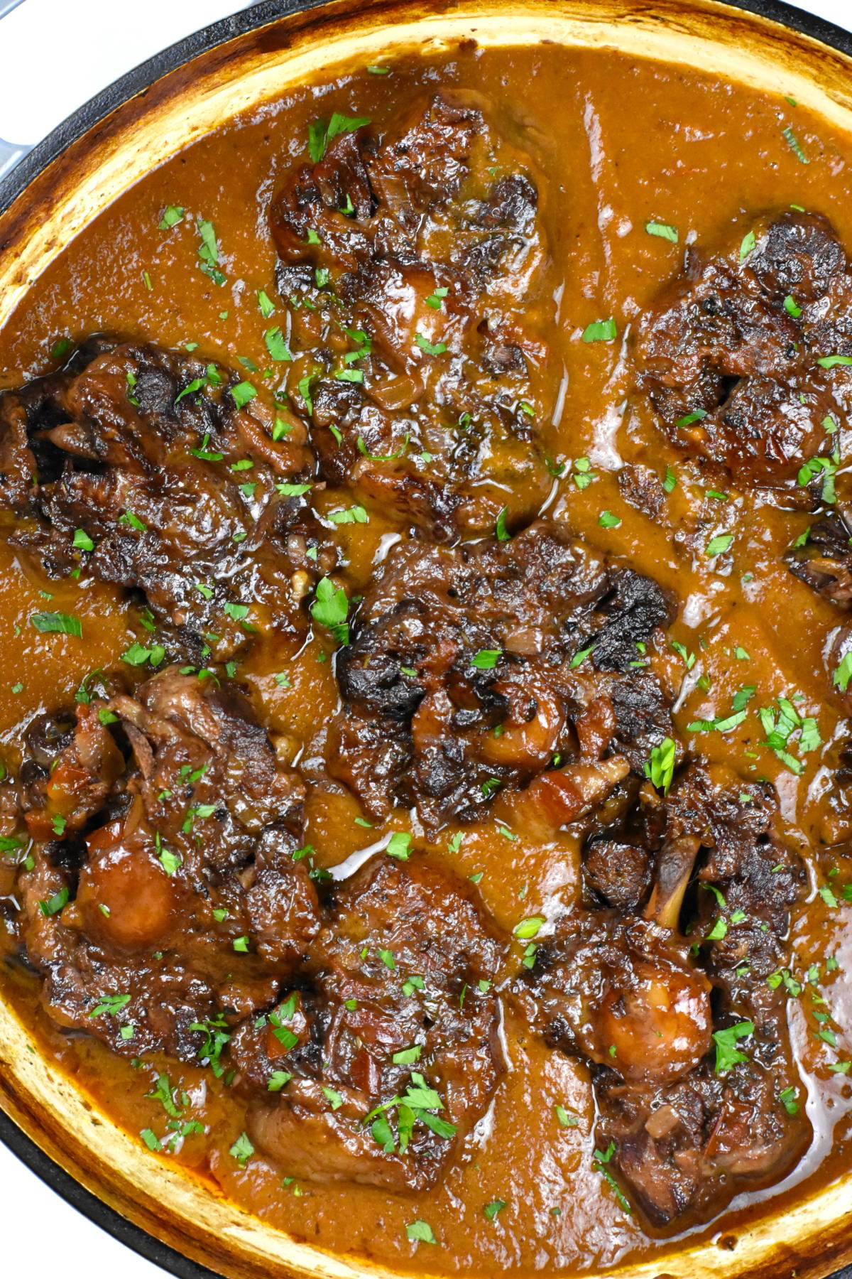 Rabo de Toro (Gourmet Spanish Oxtail Stew) - GypsyPlate