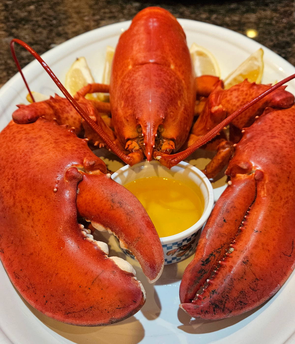 Maine Lobster - GypsyPlate