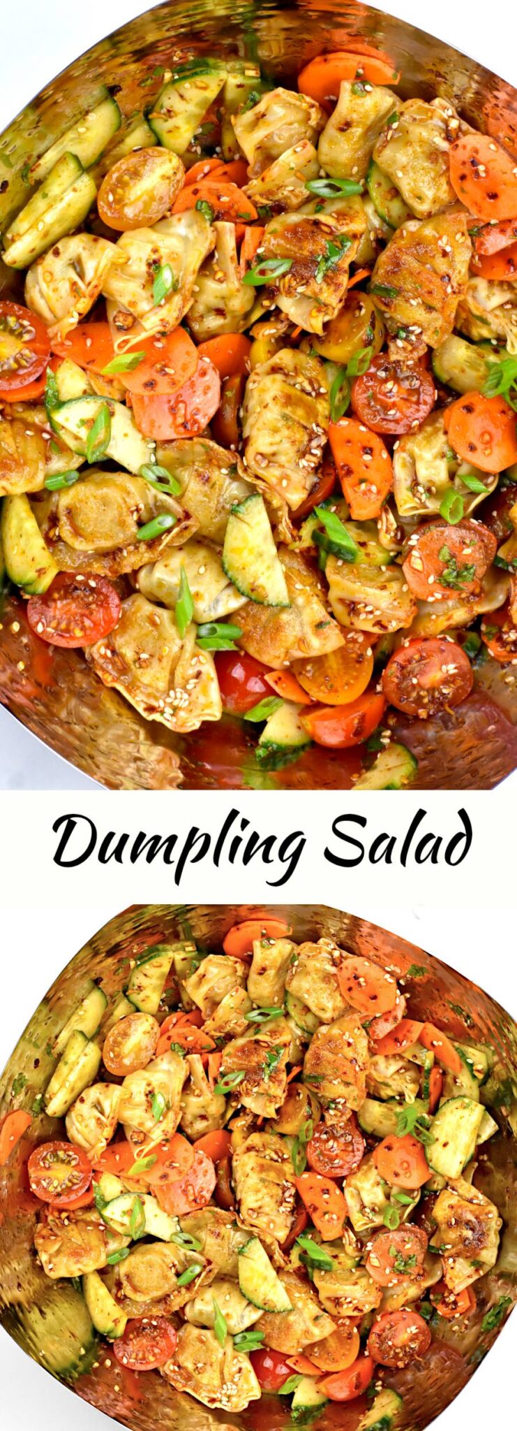 Dumpling Salad - GypsyPlate